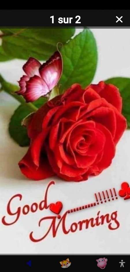 Trans vidange Express paire de couilles pleine sur On se connait .com